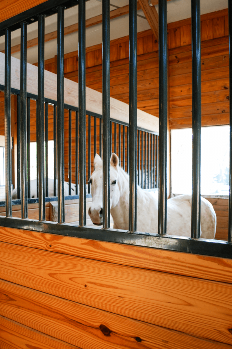 Equestrian Center – Greenbrier Living